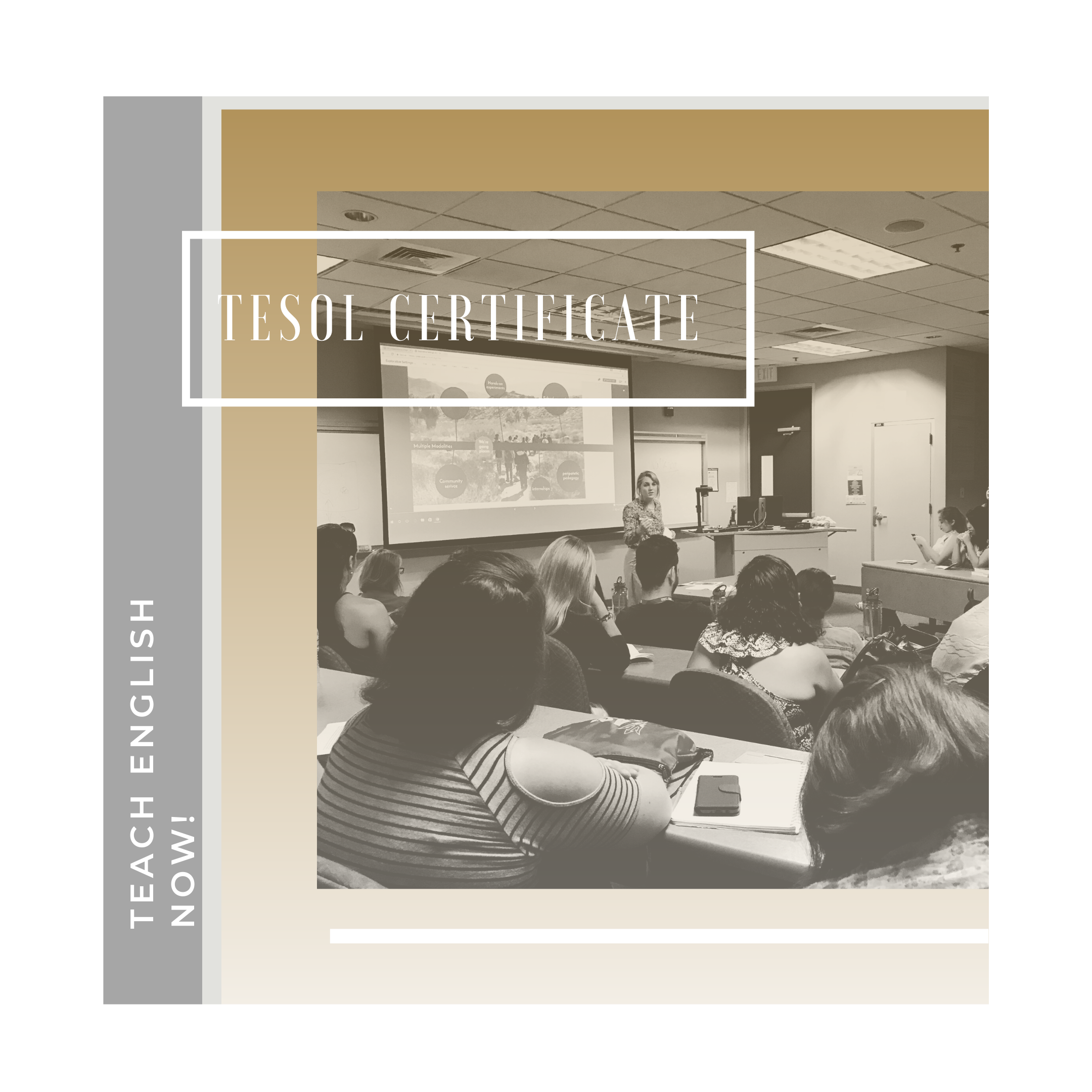 TESOL Certificate – Addie Scoggin